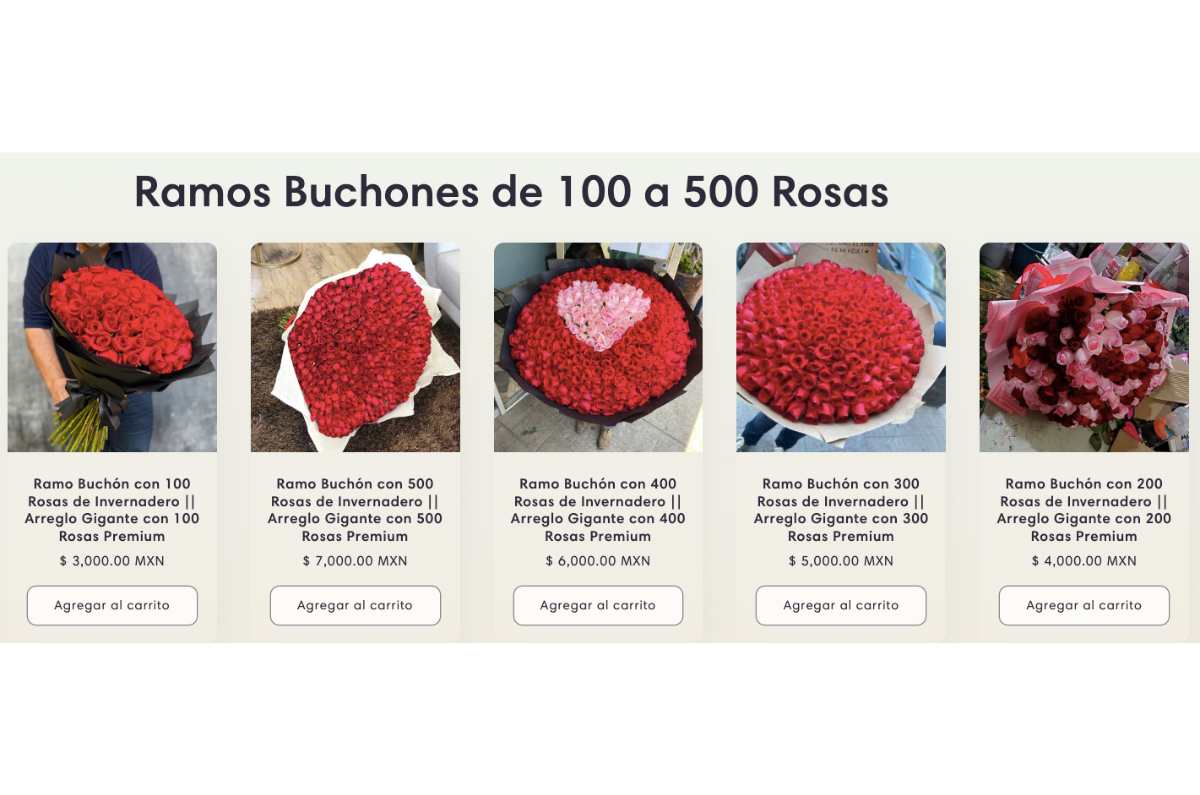 ramos-buchones-precios